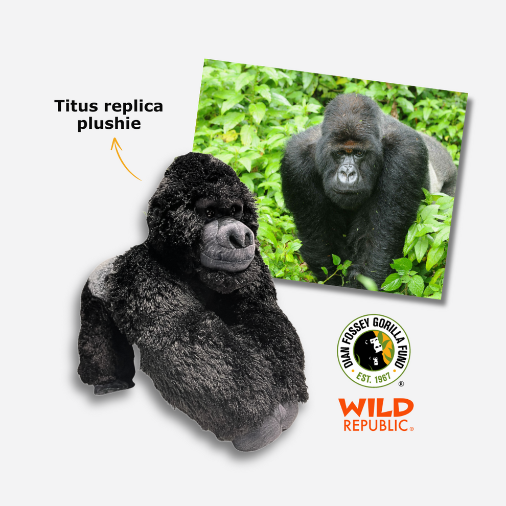 Mountain Gorilla Titus Jr. (TJ) Stuffed Animal | Wild Republic x Dian – Dian Fossey Gorilla Fund